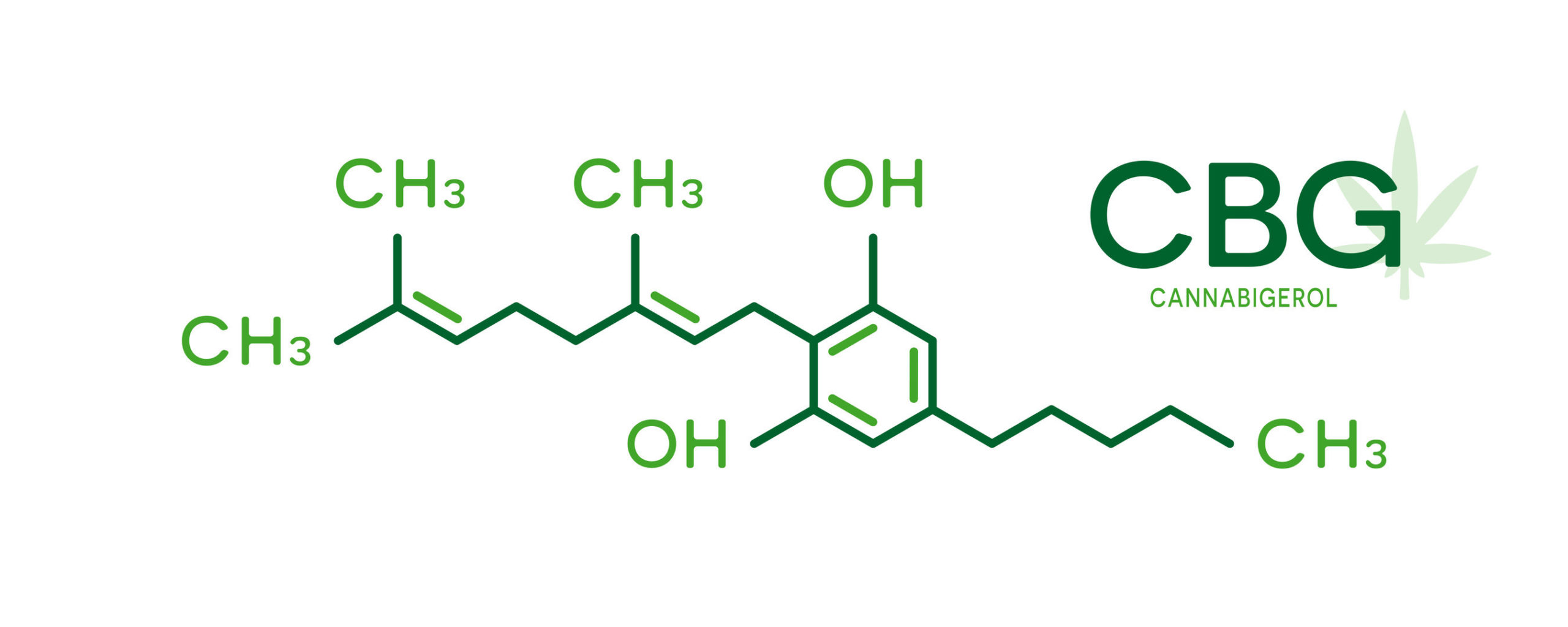 What Is CBG Green River Botanicals What Is CBG Green River Botanicals